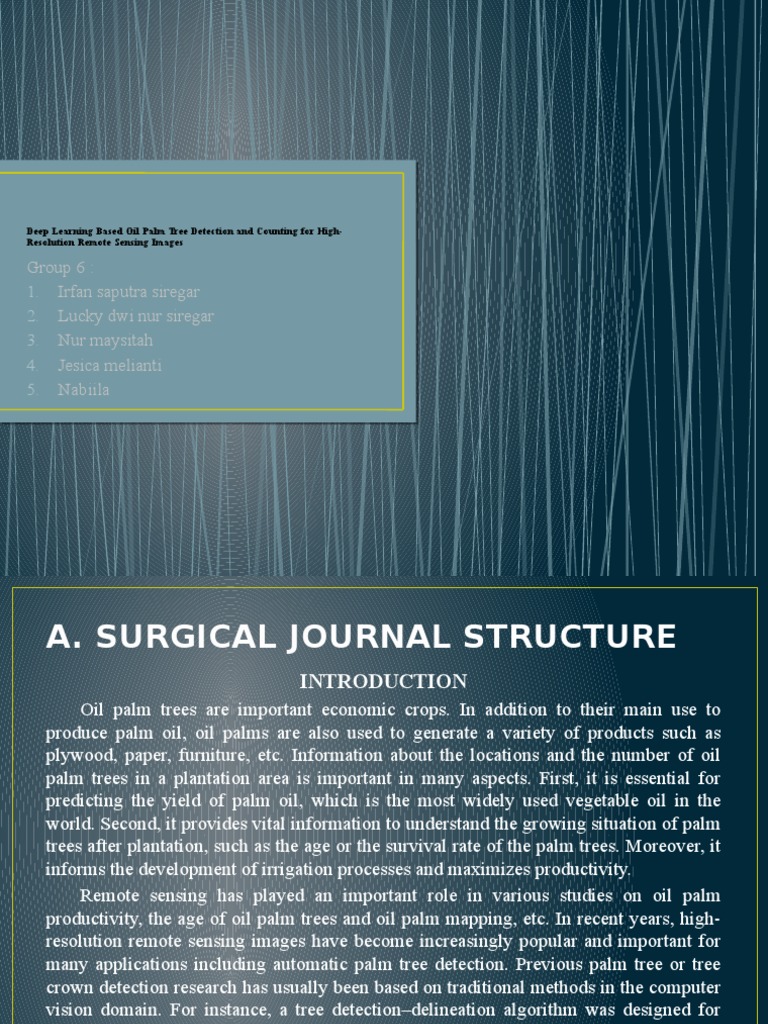 Deep Learning Based Oil Palm Tree Detection And Counting For High