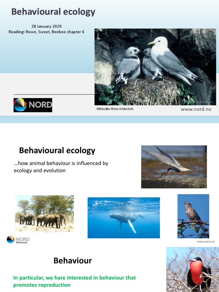 Behavioural Ecology: 28 January 2020 Reading: Rowe, Sweet, Beebee ...