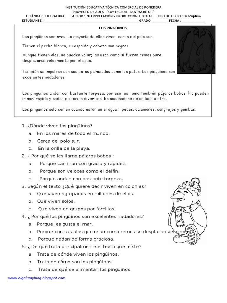 Los Pingüínos | PDF | Viajes y turismo | Estudios de idiomas extranjeros