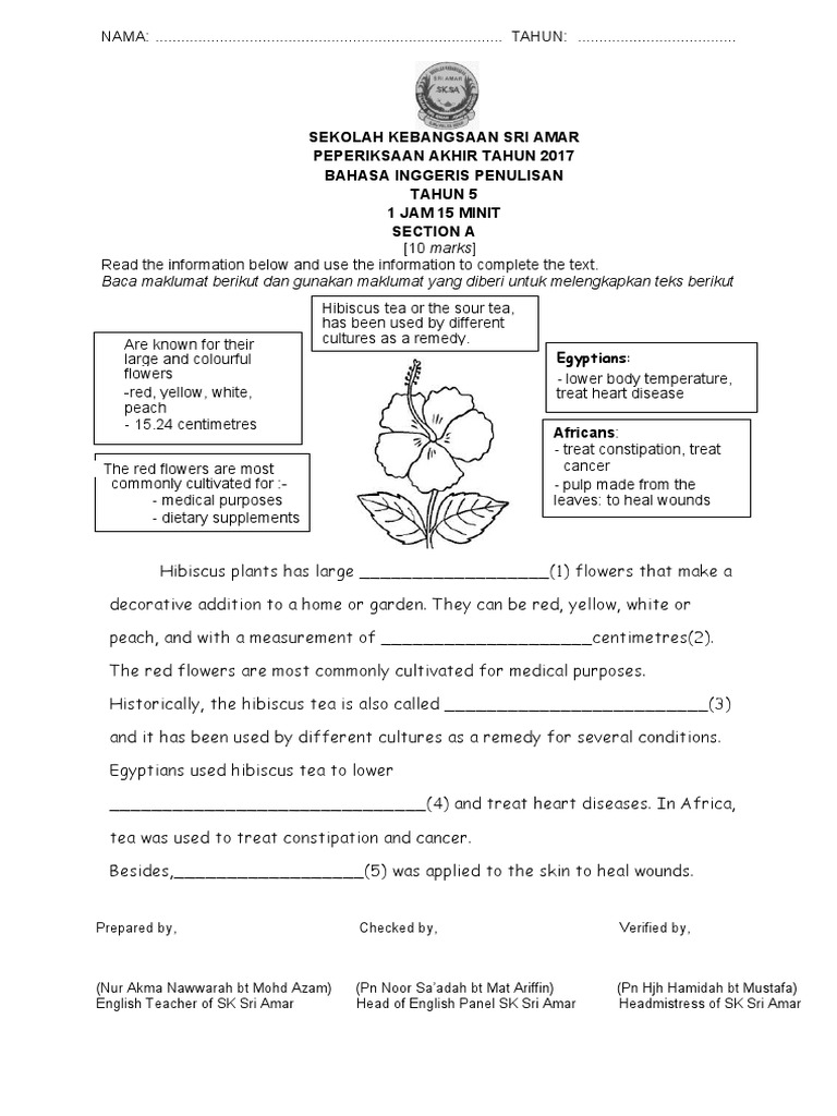Exam English Year 5 Paper 2 PDF Nature