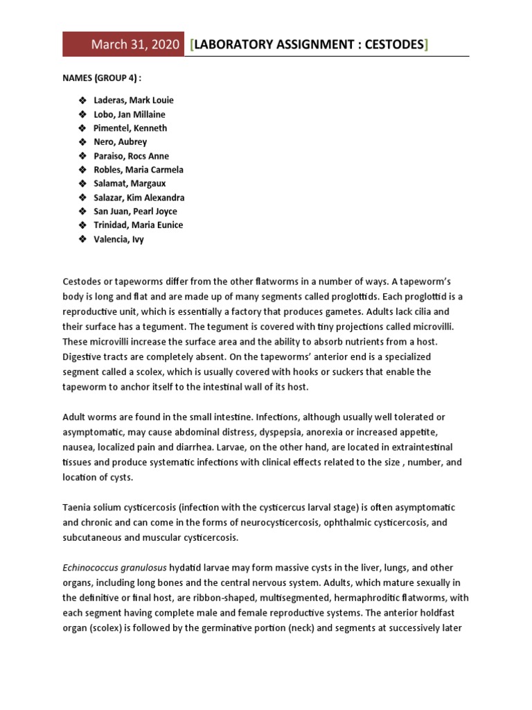Cestodes Lab Assignment | PDF | Medical Specialties | Diseases And Disorders