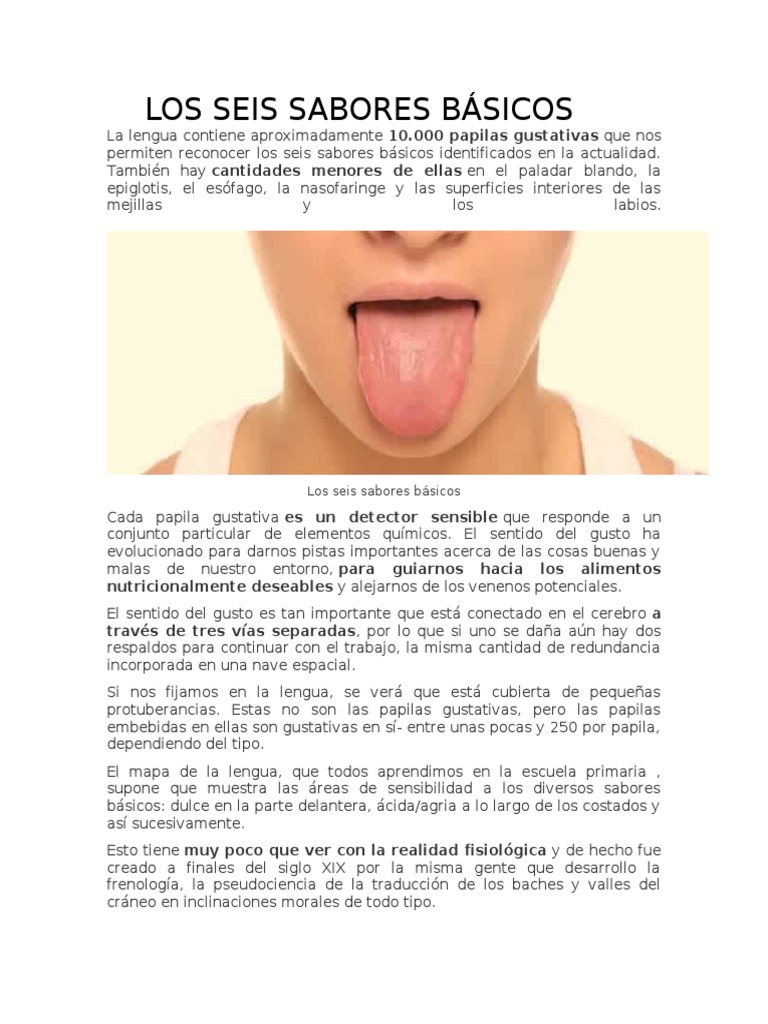 Los Seis Sabores Básicos de la Lengua | PDF