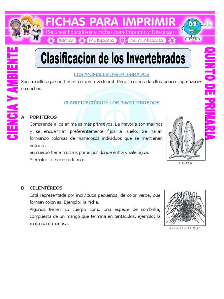 Clasificación de Invertebrados para Niños | PDF | Ciencias sociales ...