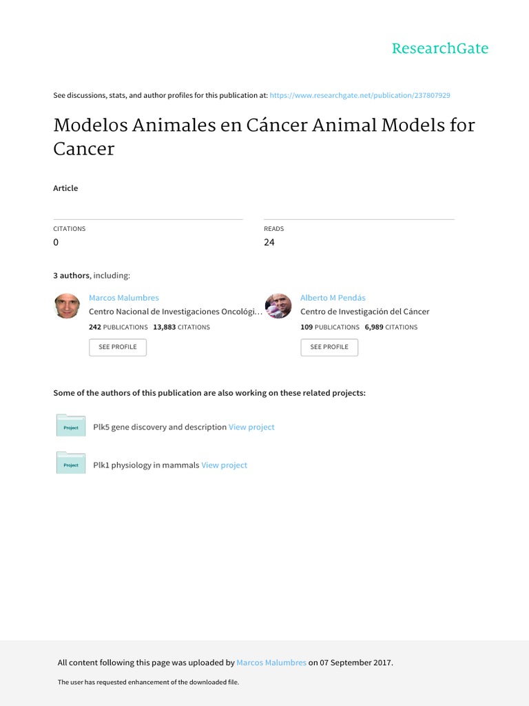 Modelos Animales en Cancer Animal Models For Cance PDF | PDF ...