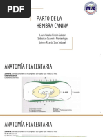 Placenta Embriologia Veterinaria | PDF | Placenta | Biología