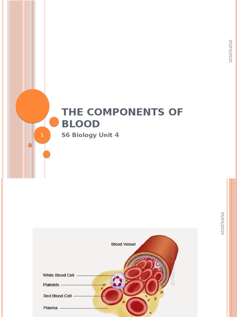 Understanding Blood Components and Functions | PDF | Lymph | Blood