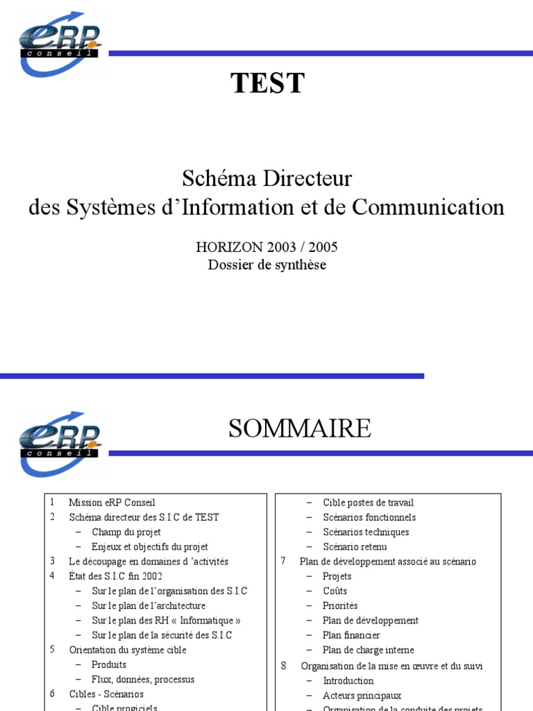 Shéma Directeur | PDF | Système d'information | Progiciel de gestion ...