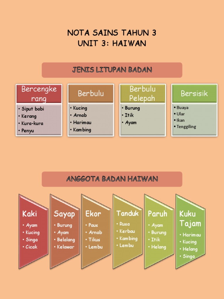Nota Sains Tahun 3: Unit 3 (Haiwan) | PDF