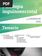 Protocolo Diagnóstico de Las Adenopatías Inguinales | PDF | Infección transmitida sexualmente ...
