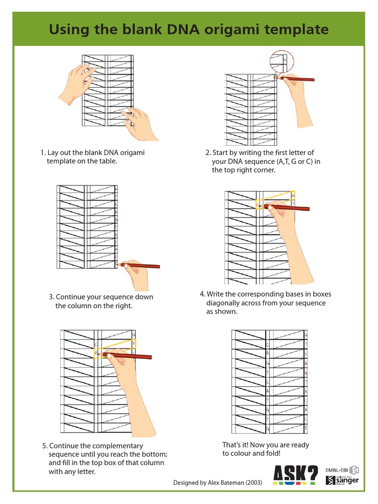 A Step-by-Step Guide to Filling in a Blank DNA Origami Template | PDF