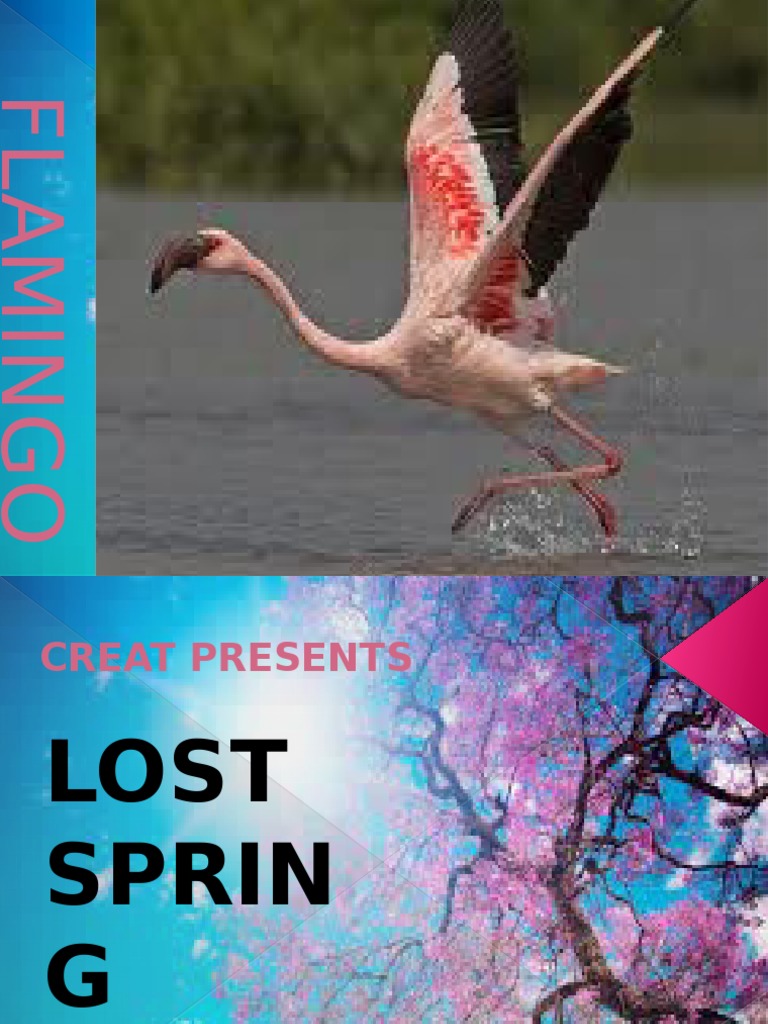 Lost Spring | PDF