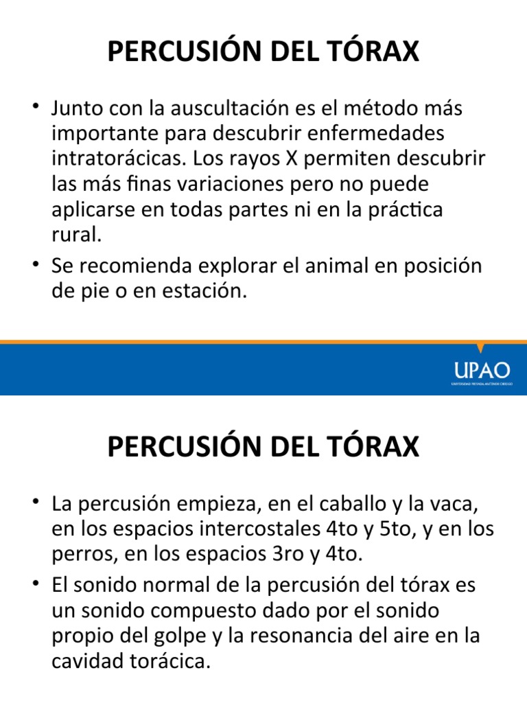 Semiologia - Percusion Del Torax | PDF | Pulmón | Enfermedades y trastornos