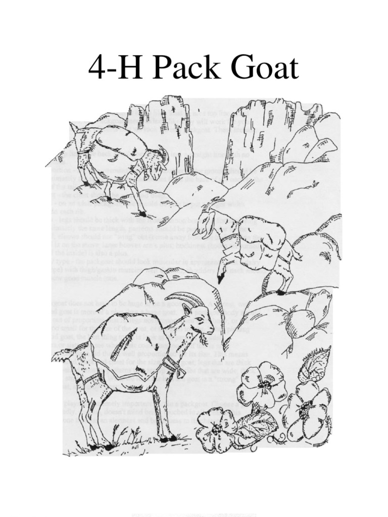4-H Pack Goat Project Handbook | Goat | Livestock