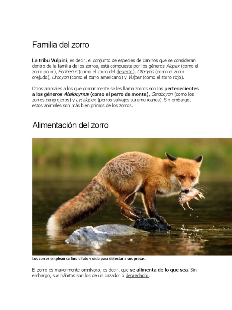 Nuevo Documento de Microsoft Word QQQQQQQQ | PDF