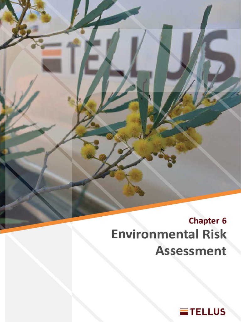 CH Eis - Chapter 06 - Environmental Risk Assessment | PDF | Risk Assessment | Risk