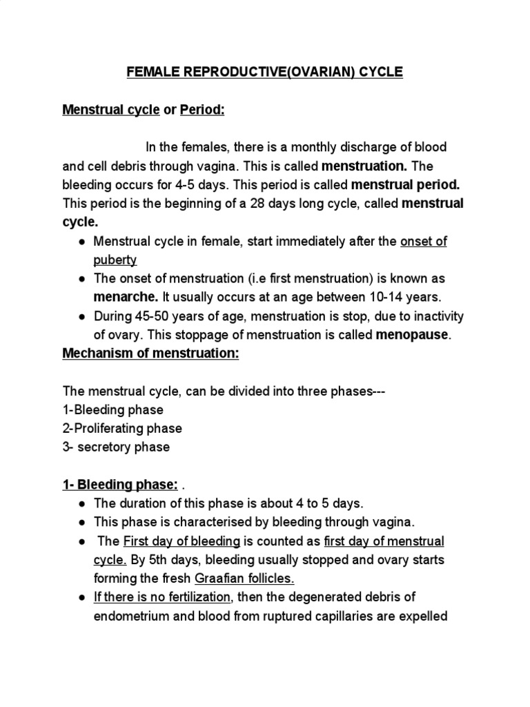 Female Reproductive (Ovarian) Cycle Menstrual Cycle | PDF | Menstrual ...