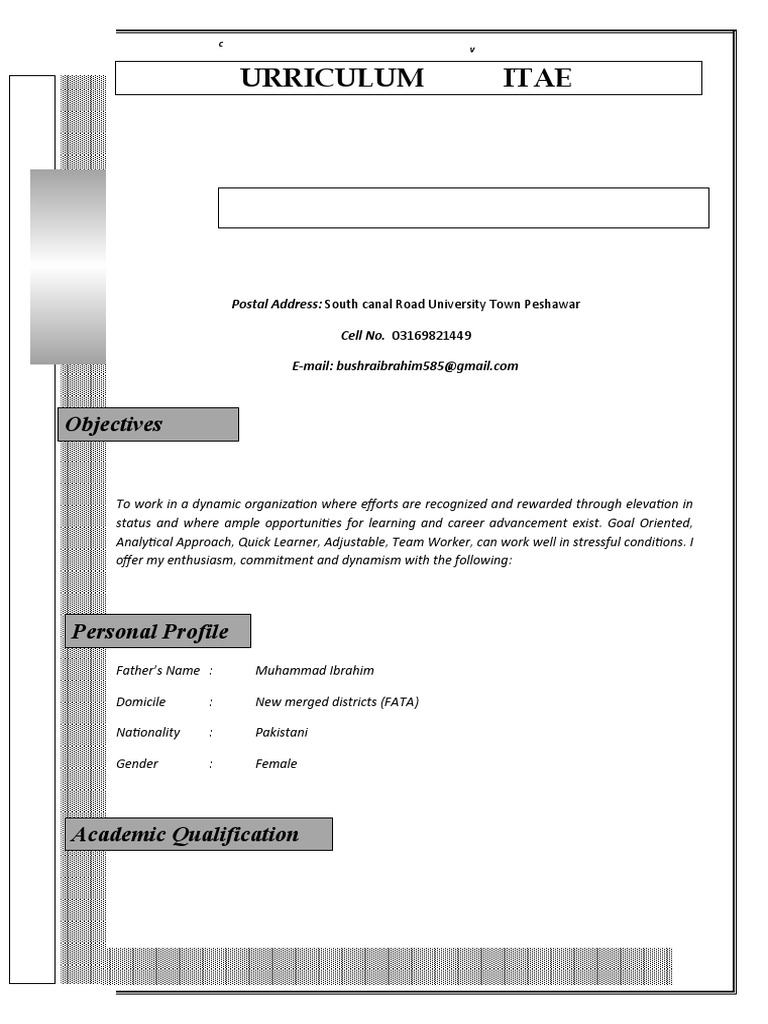 Bushra Ibrahim CV Ss NEw | PDF | Focus Group | Science