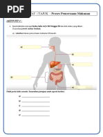 Nota Sains Tahun 2 | PDF