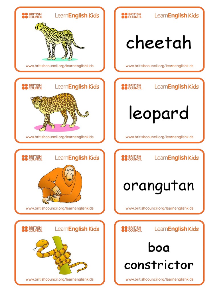 Flashcards Wild Animals Set 2 PDF | PDF