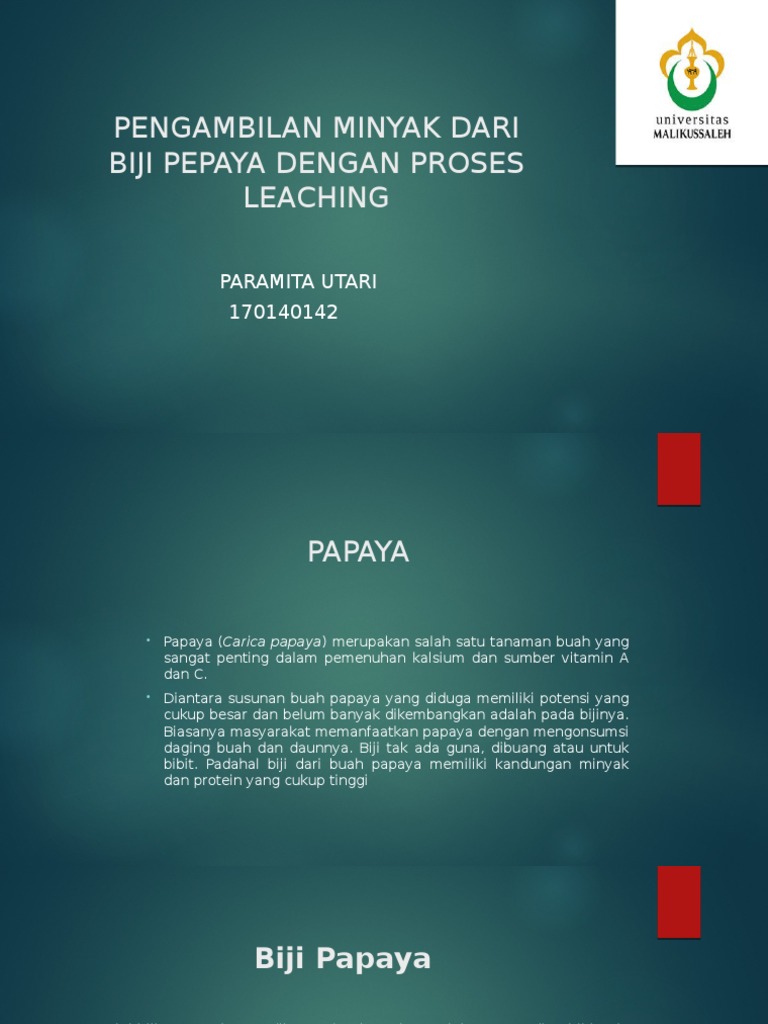 PPT Mita | PDF