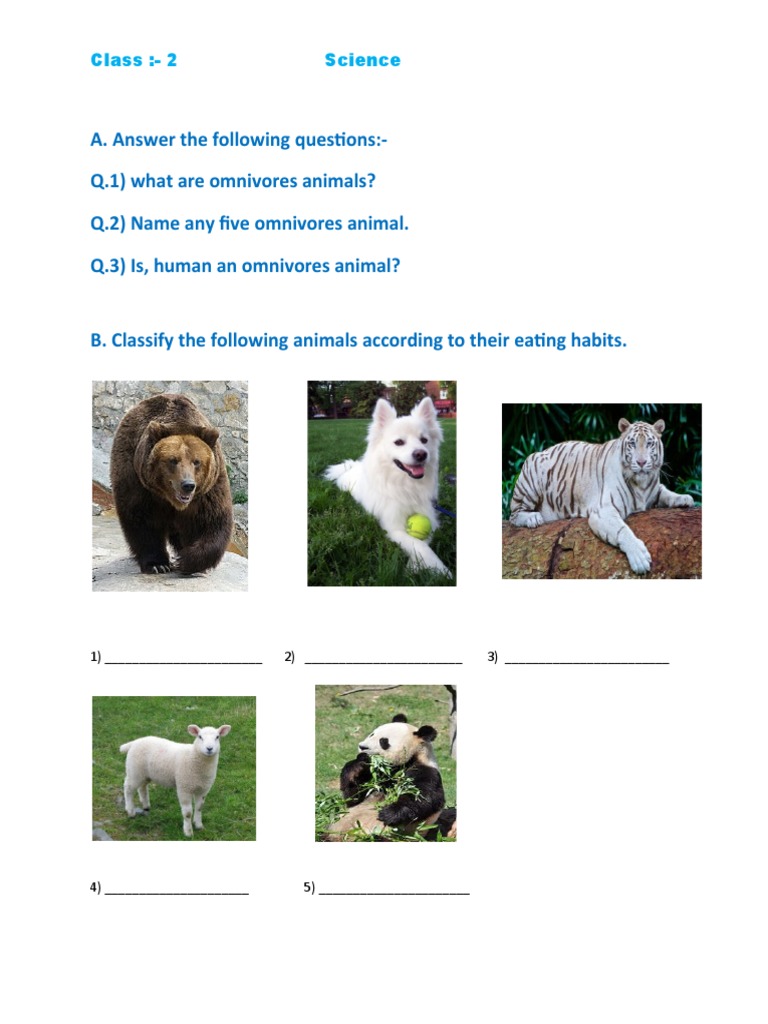Science Worksheet Class-2 | PDF