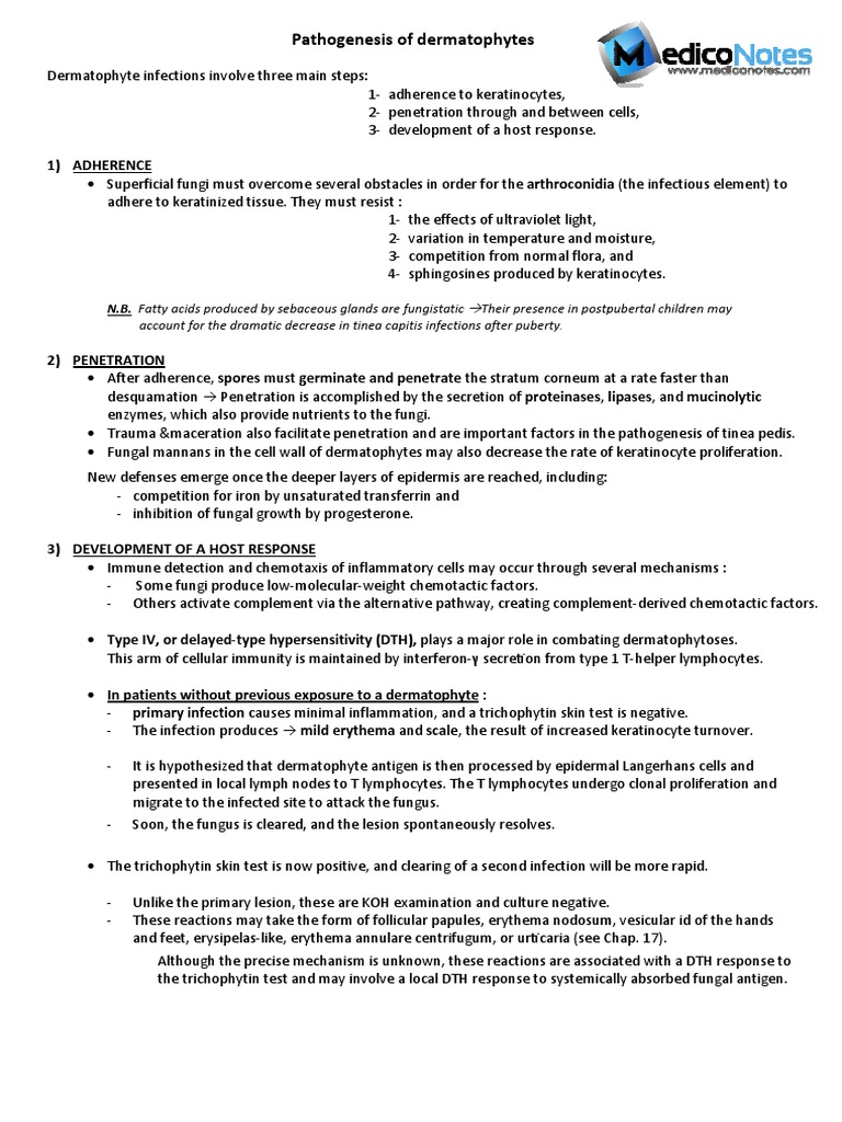 Pathogenesis of Dermatophytes | PDF | Immune System | Immunology