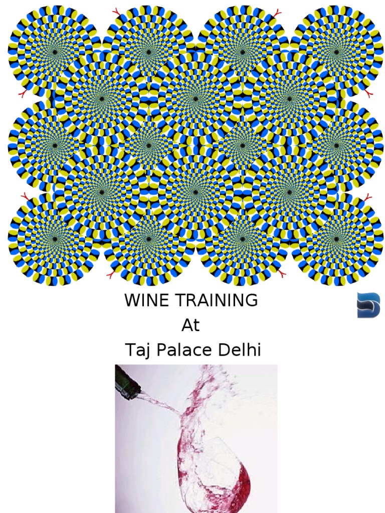 Brindco Wine Training | PDF | Fermentation In Winemaking | Winemaking