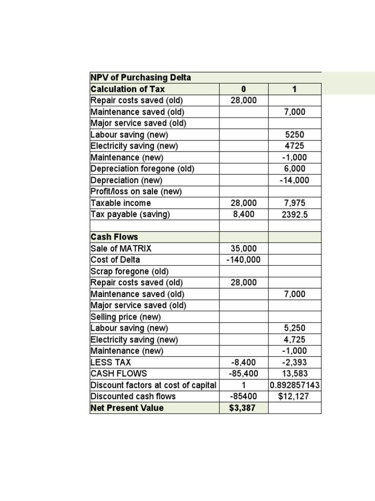 NPV Calculation of Purchasing Delta Aircraft | PDF
