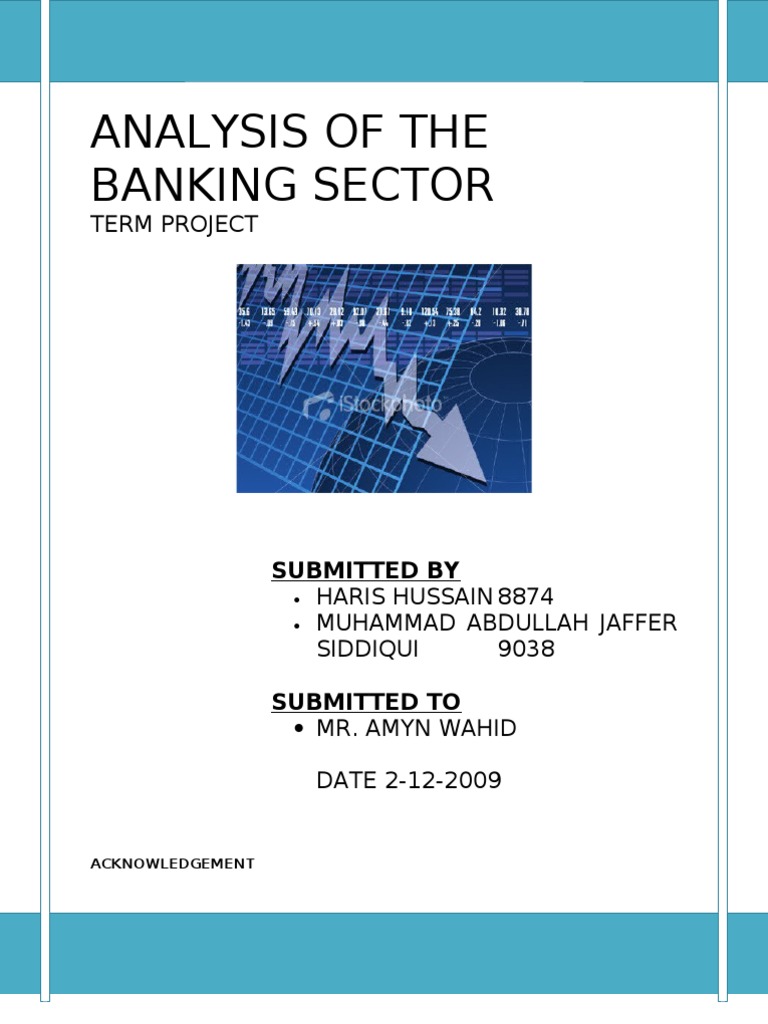 Banking Sector Analysis: AHBL Focus | PDF | Errors And Residuals ...