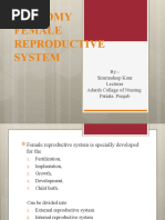 Overview of the Female Reproductive System | PDF | Uterus | Vagina