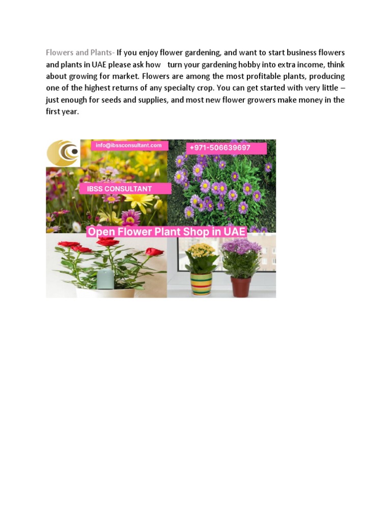 Flower Plant | PDF