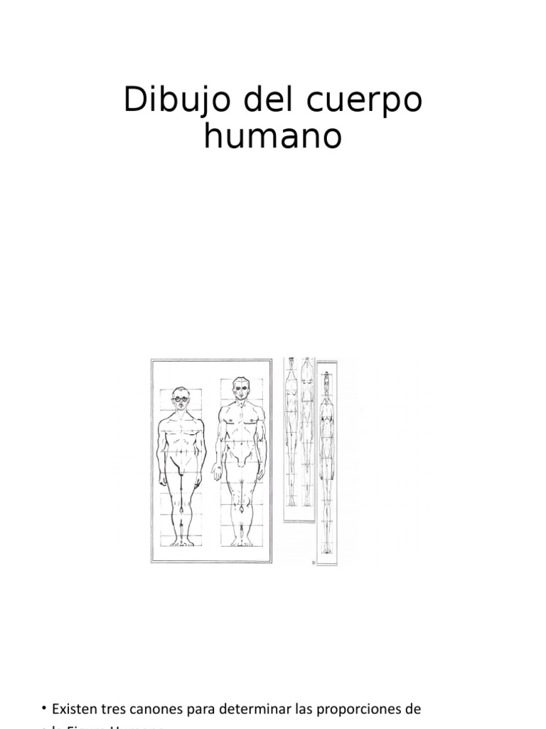 Dibujo Del Cuerpo Humano Pdf Mano Naturaleza