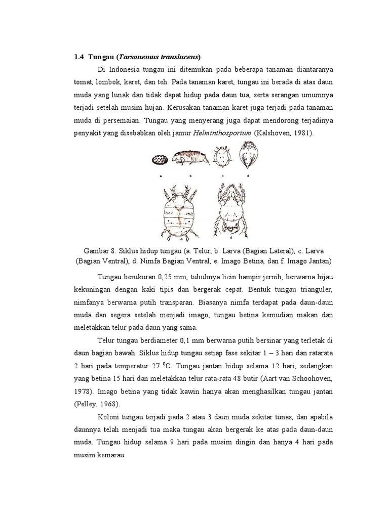 Siklus Hidup Tungau Tarsonemus | PDF | Griya & Taman | Kesehatan Holistik