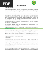 Reacción Hill | PDF | Fotosíntesis | Metabolismo