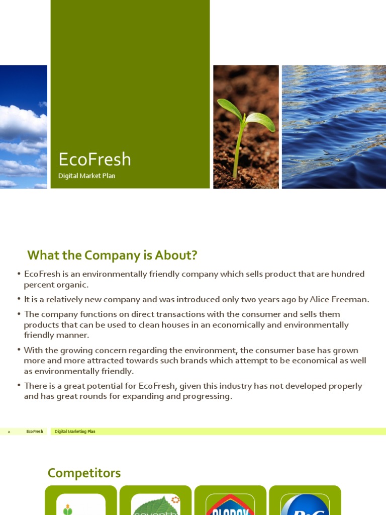 EcoFresh - Digital Marketing Plan | PDF | Search Engine Optimization | Social Media