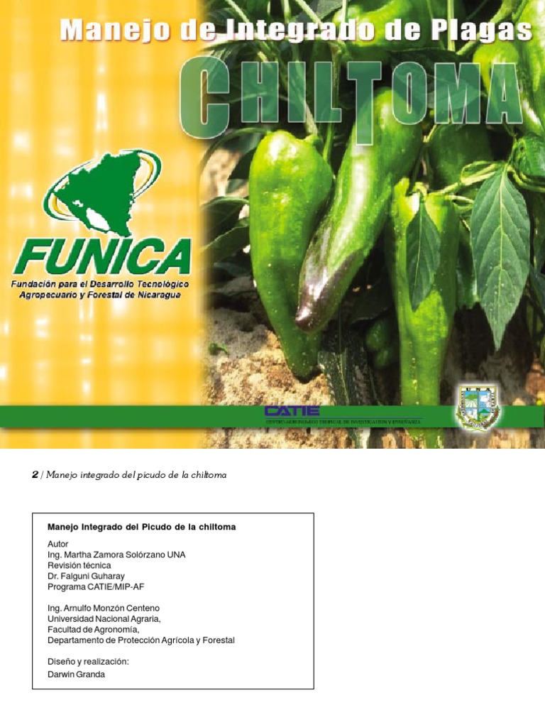 Manejo Integrado del Picudo de la Chiltoma (Anthonomus eugenii) | PDF ...
