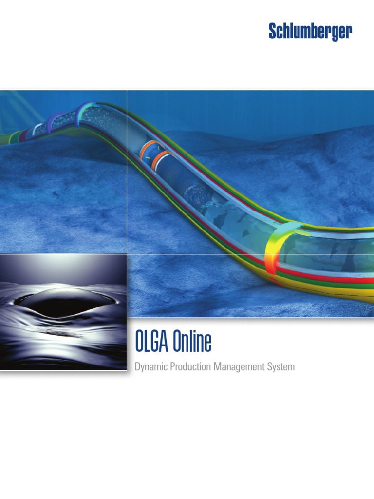 OLGA Online: Dynamic Production Management System | PDF | Simulation ...