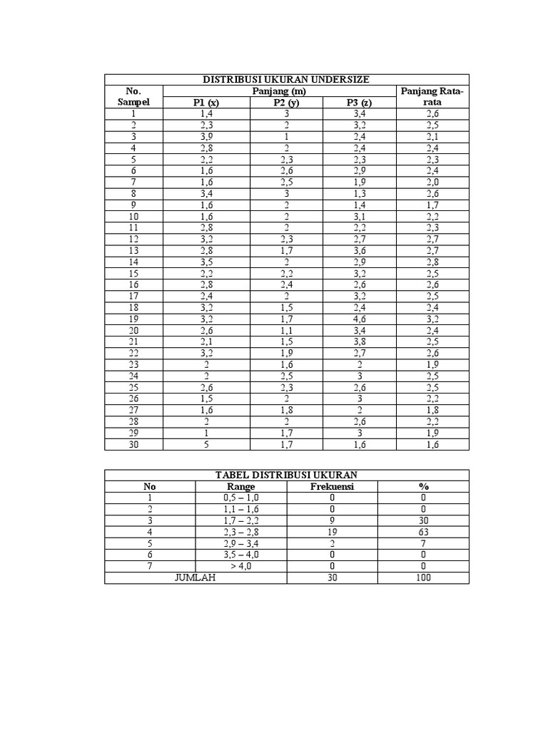 Distribusi Ukuran Undersize | PDF