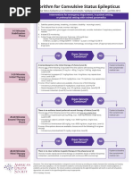 Epilepsy Management Plan Template | PDF | Epilepsy | Medical Specialties