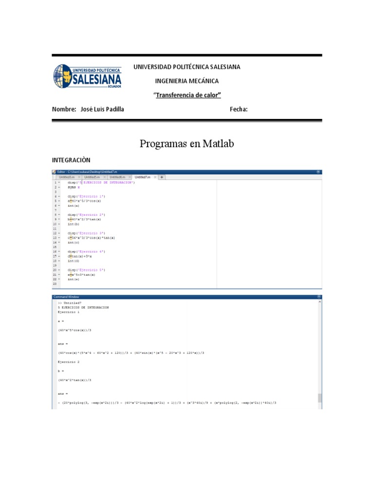 Ejercicios Matemáticos en Matlab | PDF