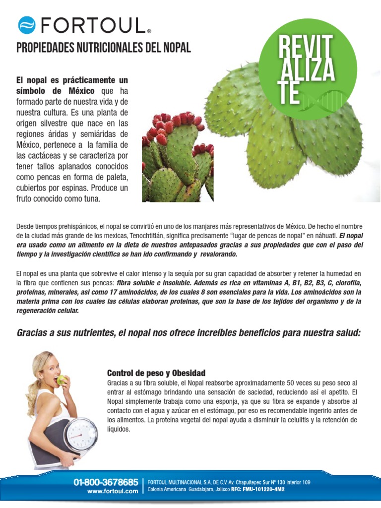 Las increíbles propiedades nutricionales y beneficios para la salud del ...