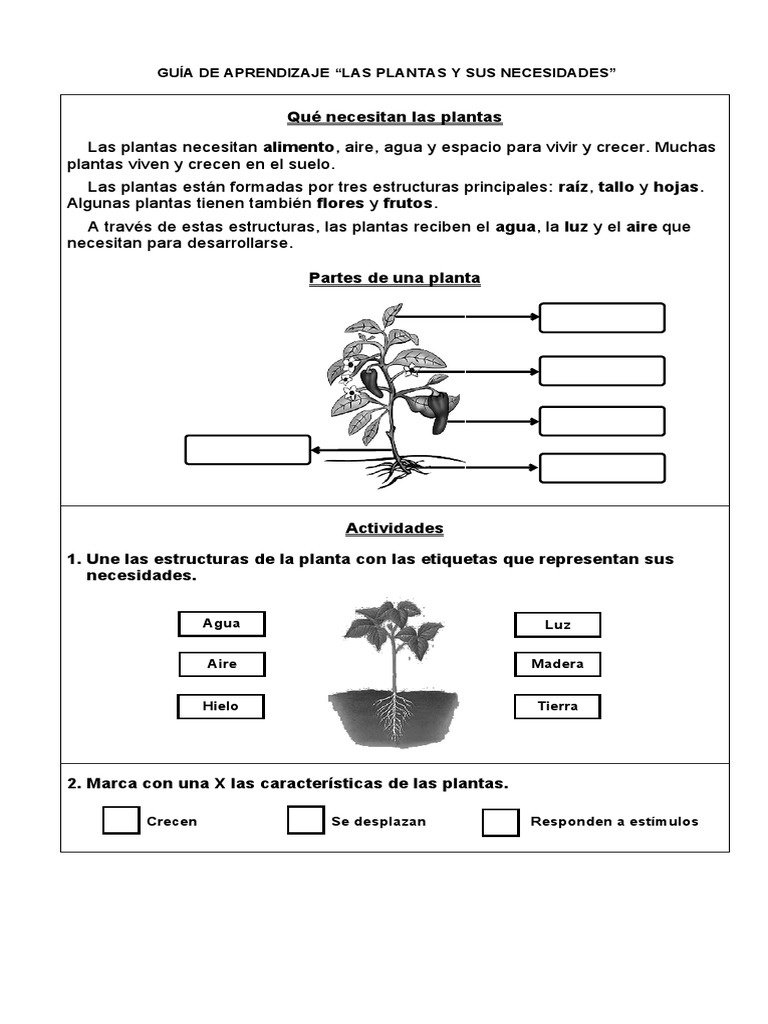 Necesidades y partes de las plantas | PDF