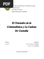 Testigos Métricos en Criminalística | PDF | Ciencia forense | Science
