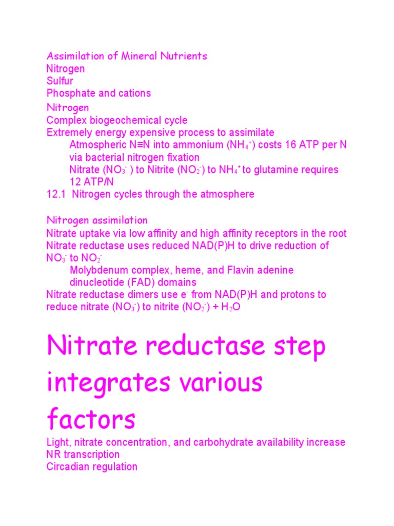 Nitrate Reductase Step Integrates Various Factors | PDF | Metabolism ...
