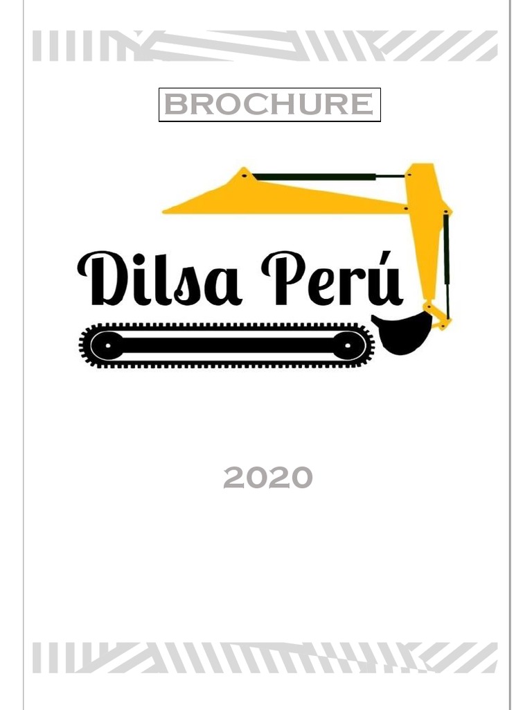 Brochure Dilsa Peru 2020-2021 | PDF | Economias