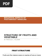 Module 1 Post-Harvest Handling and Seed Technology | PDF | Postharvest | Vegetables