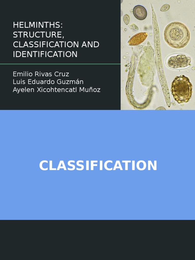 Helminths: Structure & Classification | PDF | Nematode | Parasitism