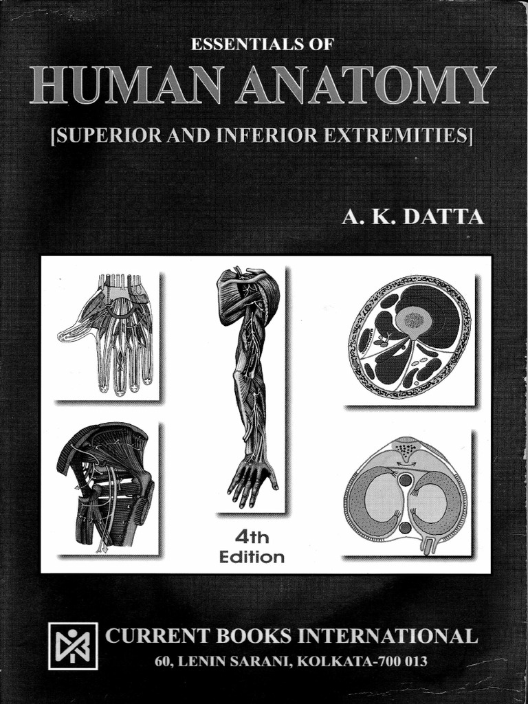 Essentials of Human Anatomy | PDF