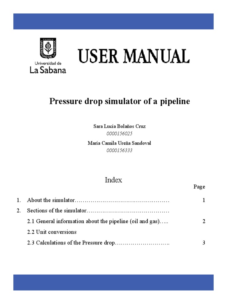 Pipeline Pressure Drop Simulator Guide | PDF | Pressure | Gases