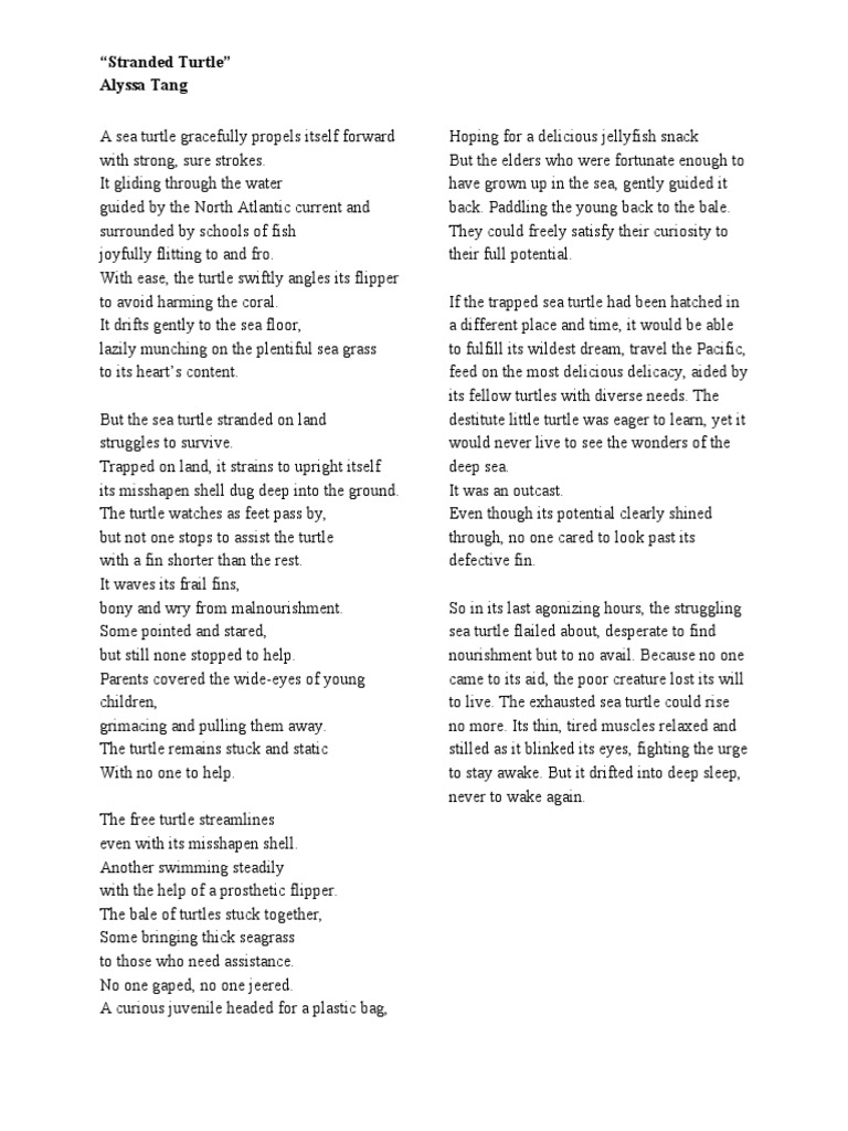 Alyssa Tang - The Symbol Poem | PDF | Turtle | Sea
